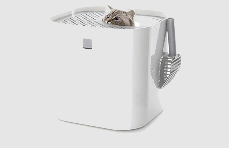 Modkat Cat Litter Box Top or Front-Entry Review of 2026 - Trundle Picks