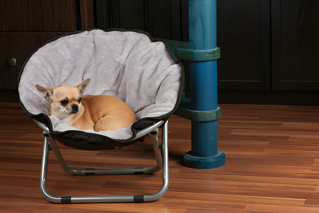 Suddus Elevated Dog Bed for Large Dogs Review of 2025 - Trundle Picks