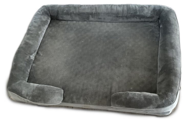 Bedsure Orthopedic Washable Dog Bed Review of 2026 - Trundle Picks