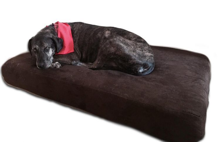 Big Barker Sleek Orthopedic Dog Bed Review of 2026 - Trundle Picks